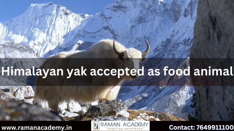 Himalayan Yak Accepted As Food Animal - Raman Academy